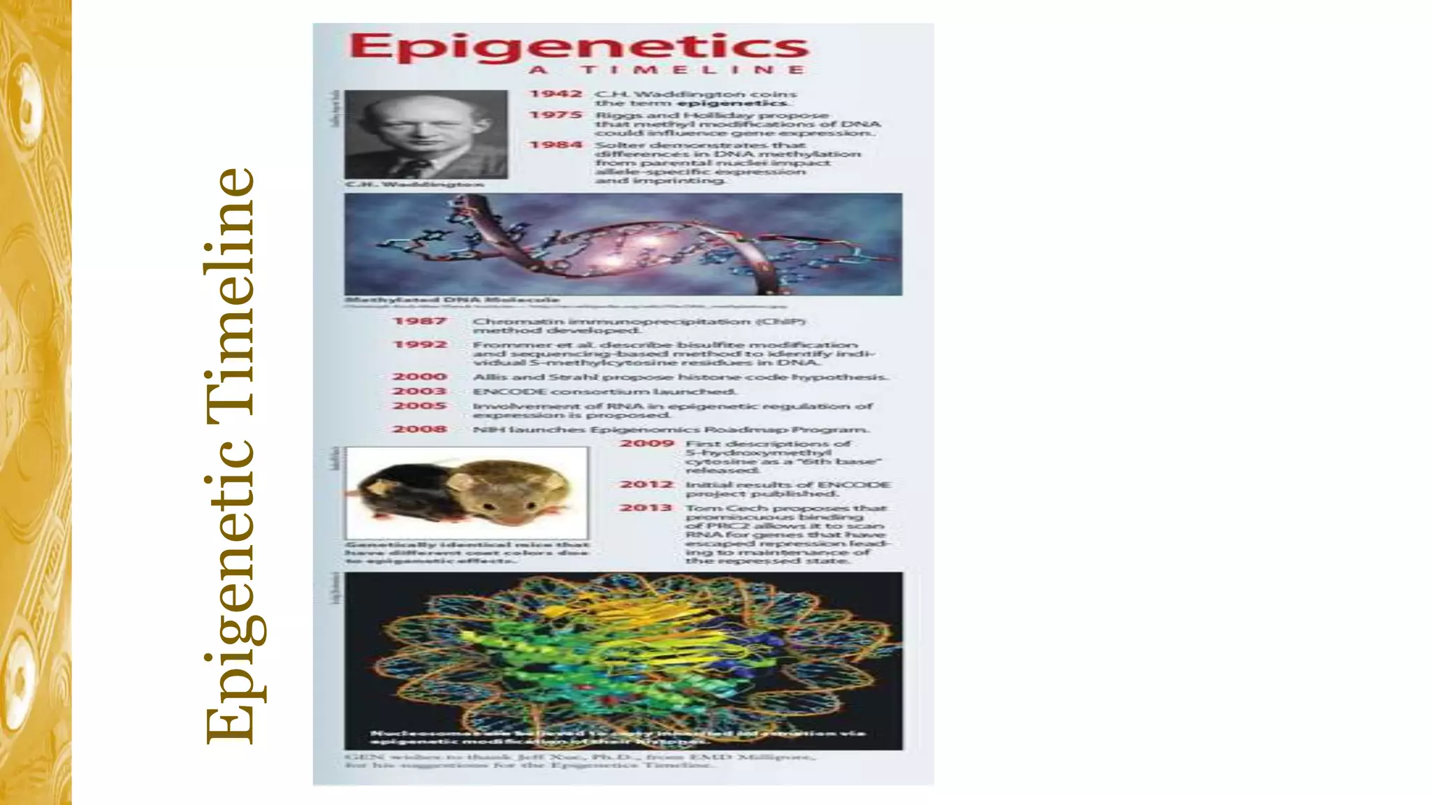 Historical intergenerational trauma.part 1 epigenetic research | PPTX
