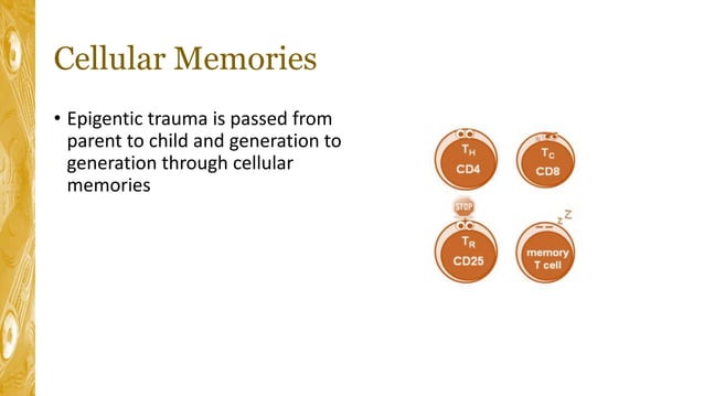 Historical intergenerational trauma.part 1 epigenetic research | PPTX