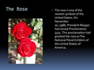 Historical Look at 7 American Symbols | PPTX