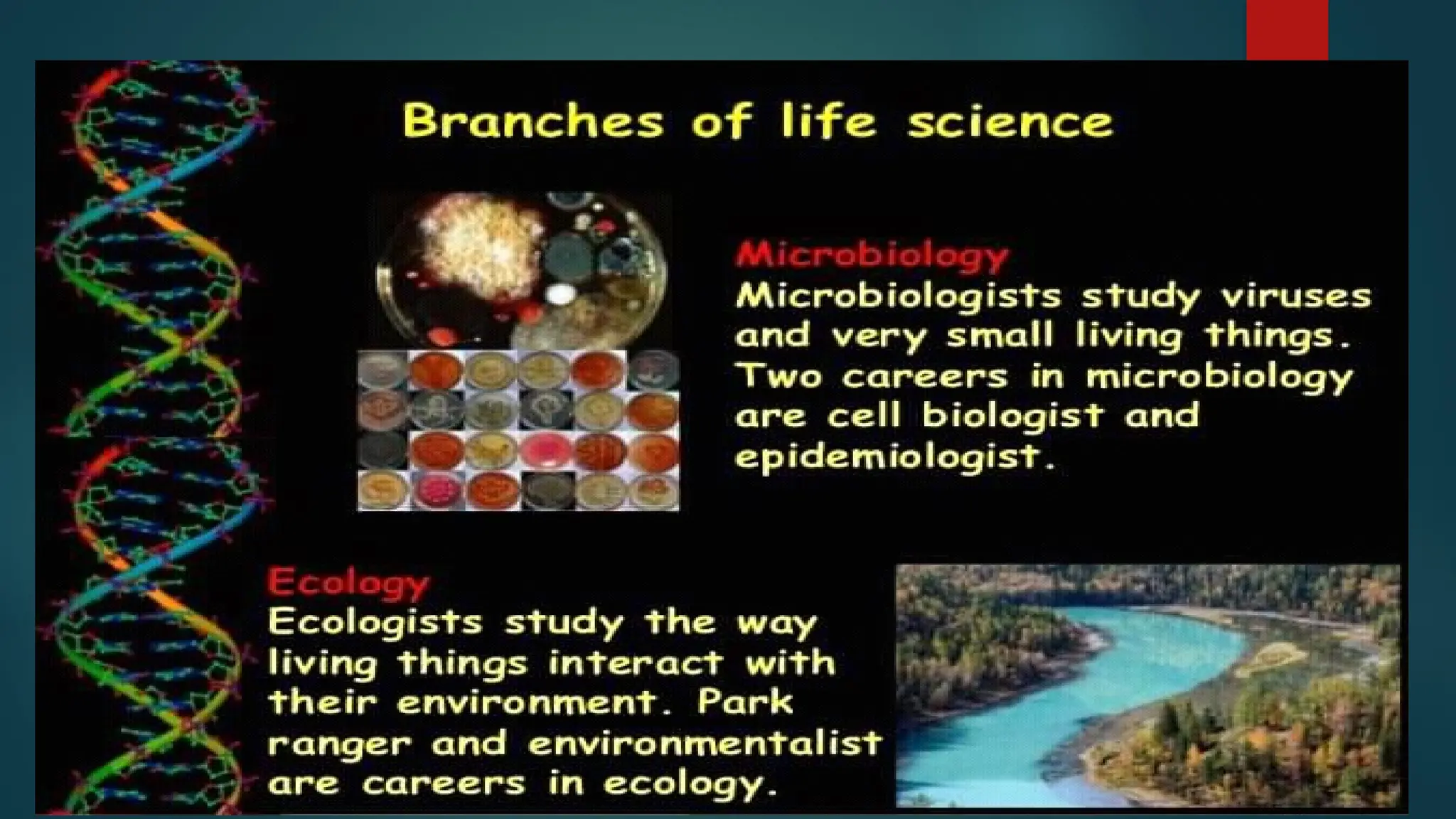 Historical_of_Development_of_Concept_of_Life.pptx