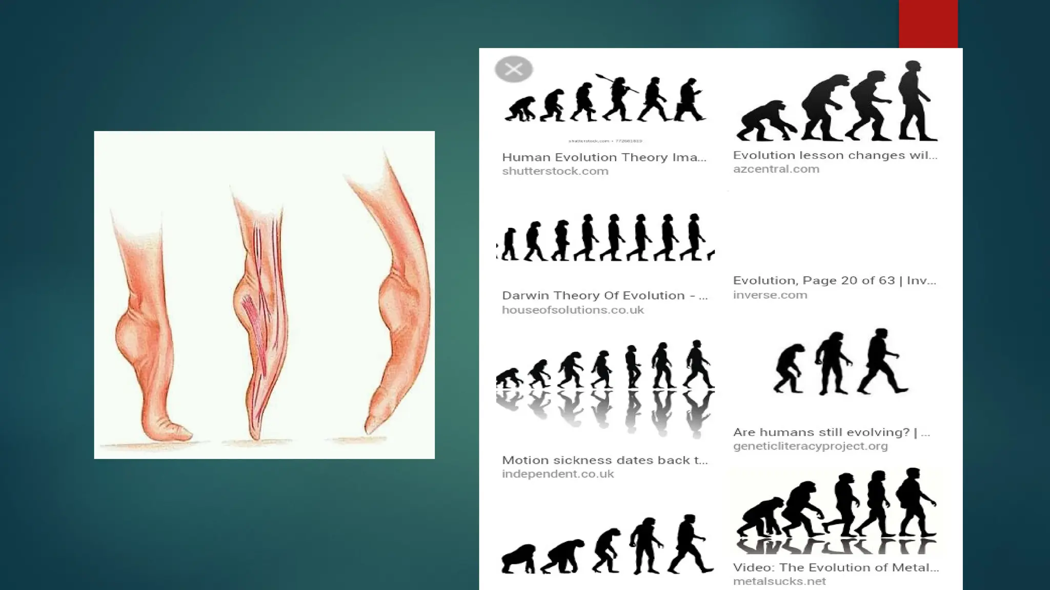 Historical_of_Development_of_Concept_of_Life.pptx