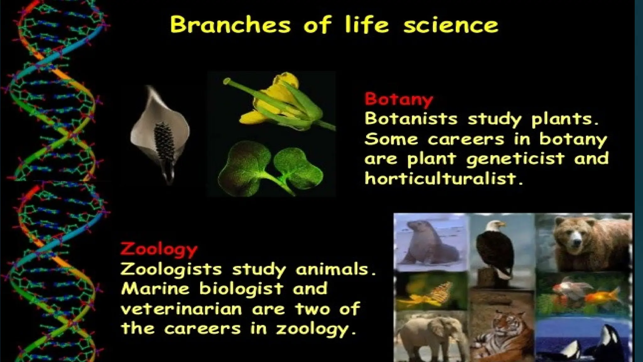 Historical_of_Development_of_Concept_of_Life.pptx