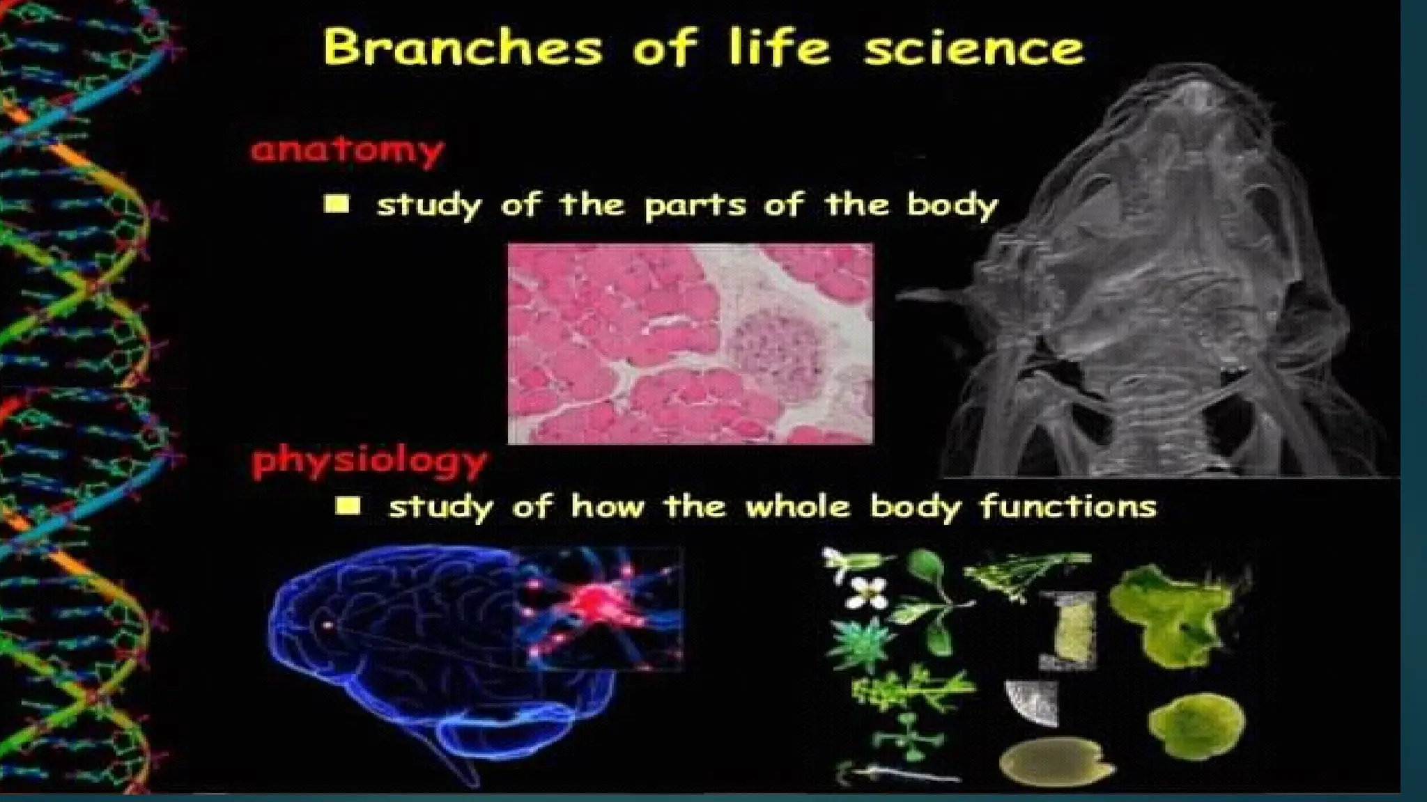 Historical_of_Development_of_Concept_of_Life.pptx