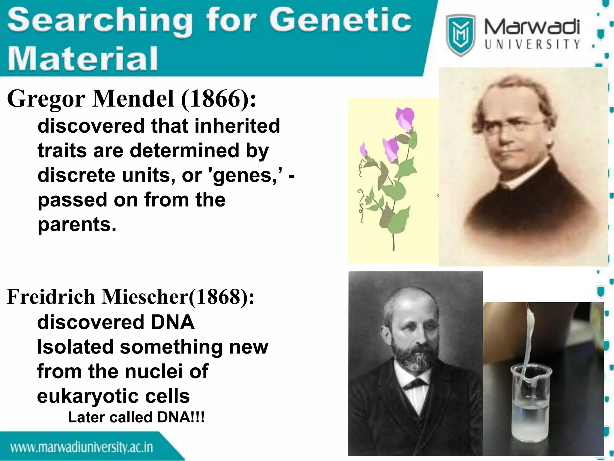 Prokaryotic DNA Replication: Historical Perspectives and Mechanisms. | PPTX