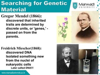 Prokaryotic DNA Replication: Historical Perspectives and Mechanisms. | PPTX