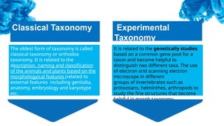 Historical resume of taxonomy and its stages | PPTX