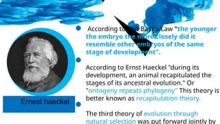 Historical resume of taxonomy and its stages | PPTX