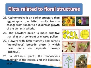 Dicta of Evolution | PPT