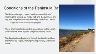 Historical The Bay Area Peninsula Region.pptx