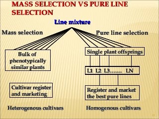 History of Plant Breeding | PPT