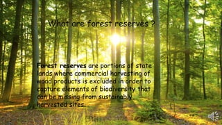forest reserves and wildlife | PPTX