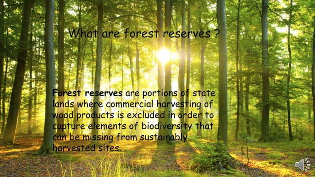 forest reserves and wildlife | PPTX | Asia Travel | Travel Locations