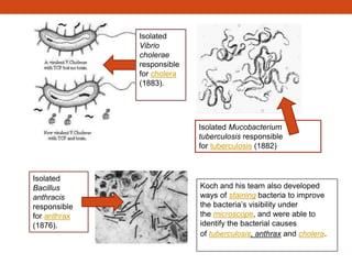 Contributions of renowned scientists in Microbiology | PPTX