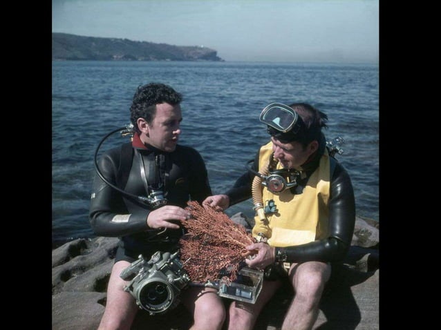 Underwater Research Group of NSW History: 1950s-80s | PPTX