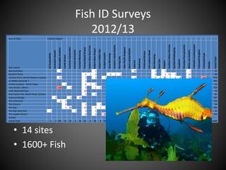 Underwater Reserach Group of NSW: From 2000 to the present | PPT