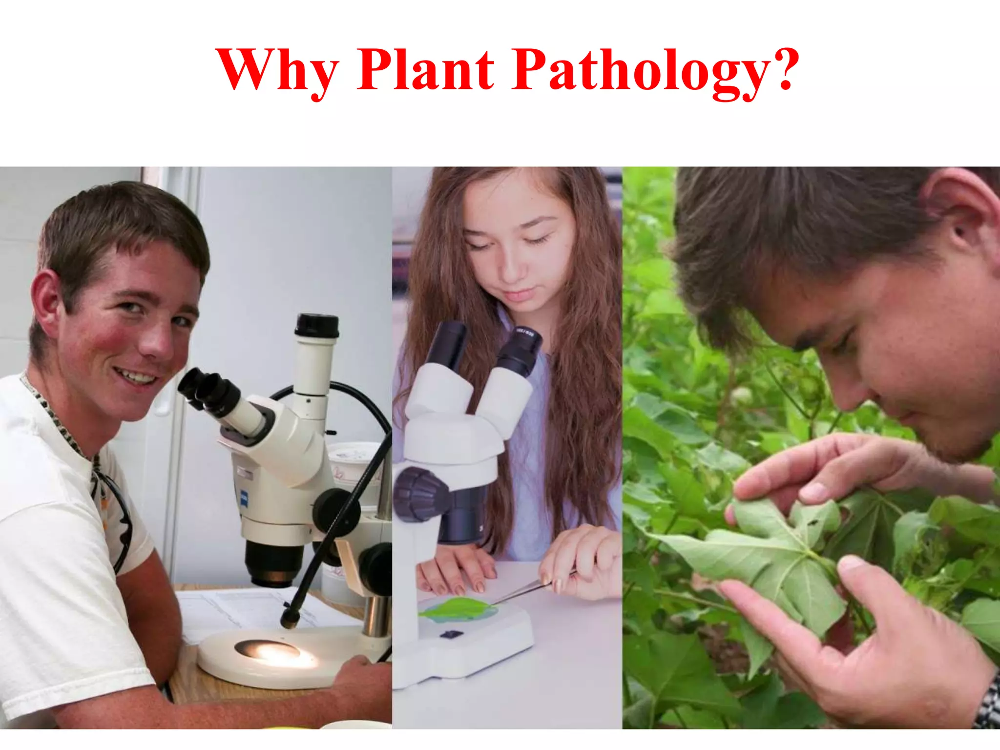 History of plant pathology | PPTX