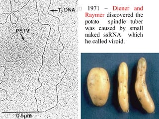 History of plant pathology | PPTX