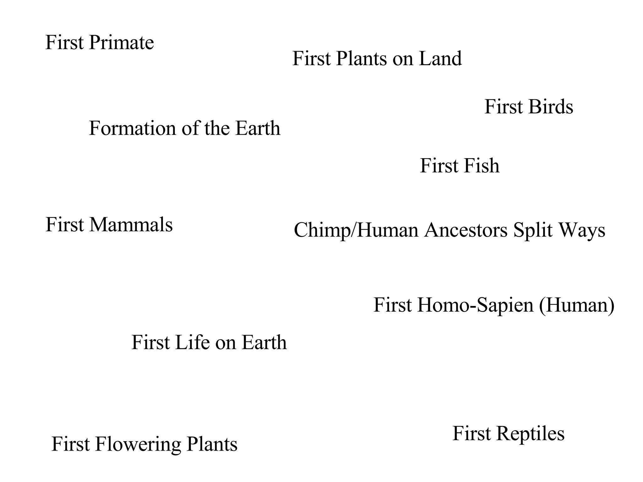 History Of Everything | PPT