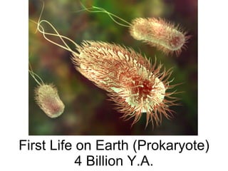 History Of Everything | PPT