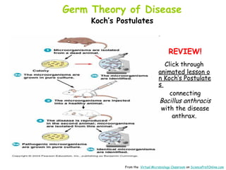 History-of-Microbiology-Lecture-PowerPoint-VMP 304-27.02.2024.pptx