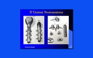 History of-Neurology | PDF