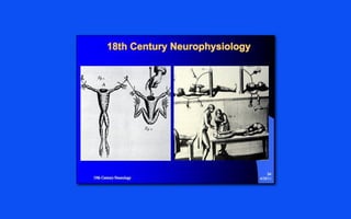 History of-Neurology | PDF