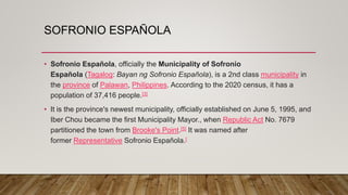 History of palawan.pptx12234567890jwop.j | PPTX