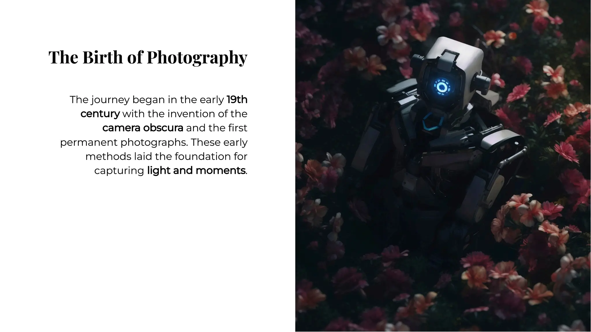 Capturing Moments: A Comprehensive Overview of Overview of Photography ...