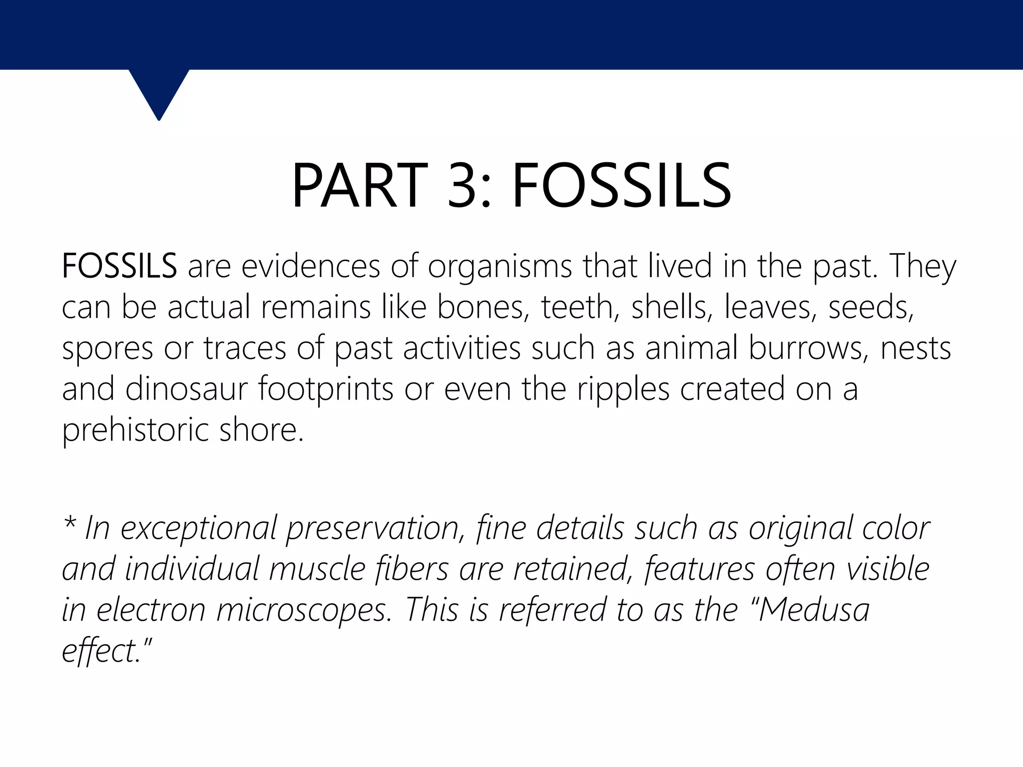 History of-the-earth | PPTX
