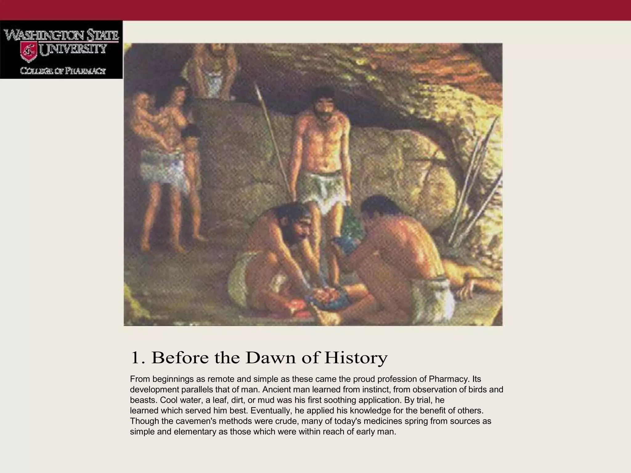 history-of-the-pharmacy-profession.pdf