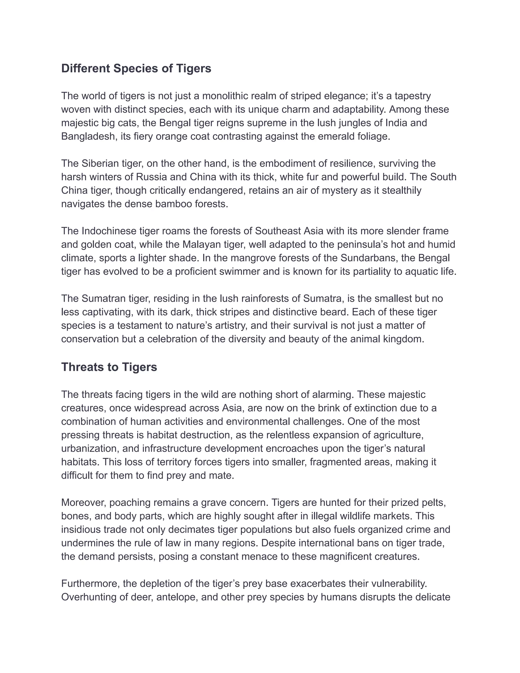 History-of-Tigers.pdf