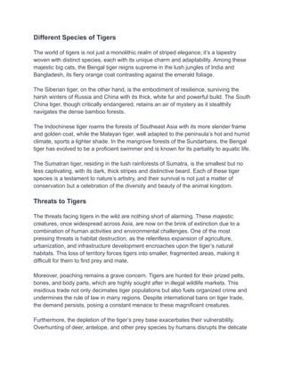 History-of-Tigers.pdf