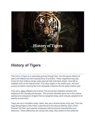 Tiger Evolution