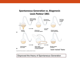 History of microbiology | PPTX
