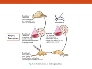 History of microbiology | PPTX