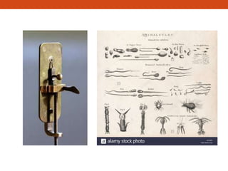 History of microbiology | PPTX