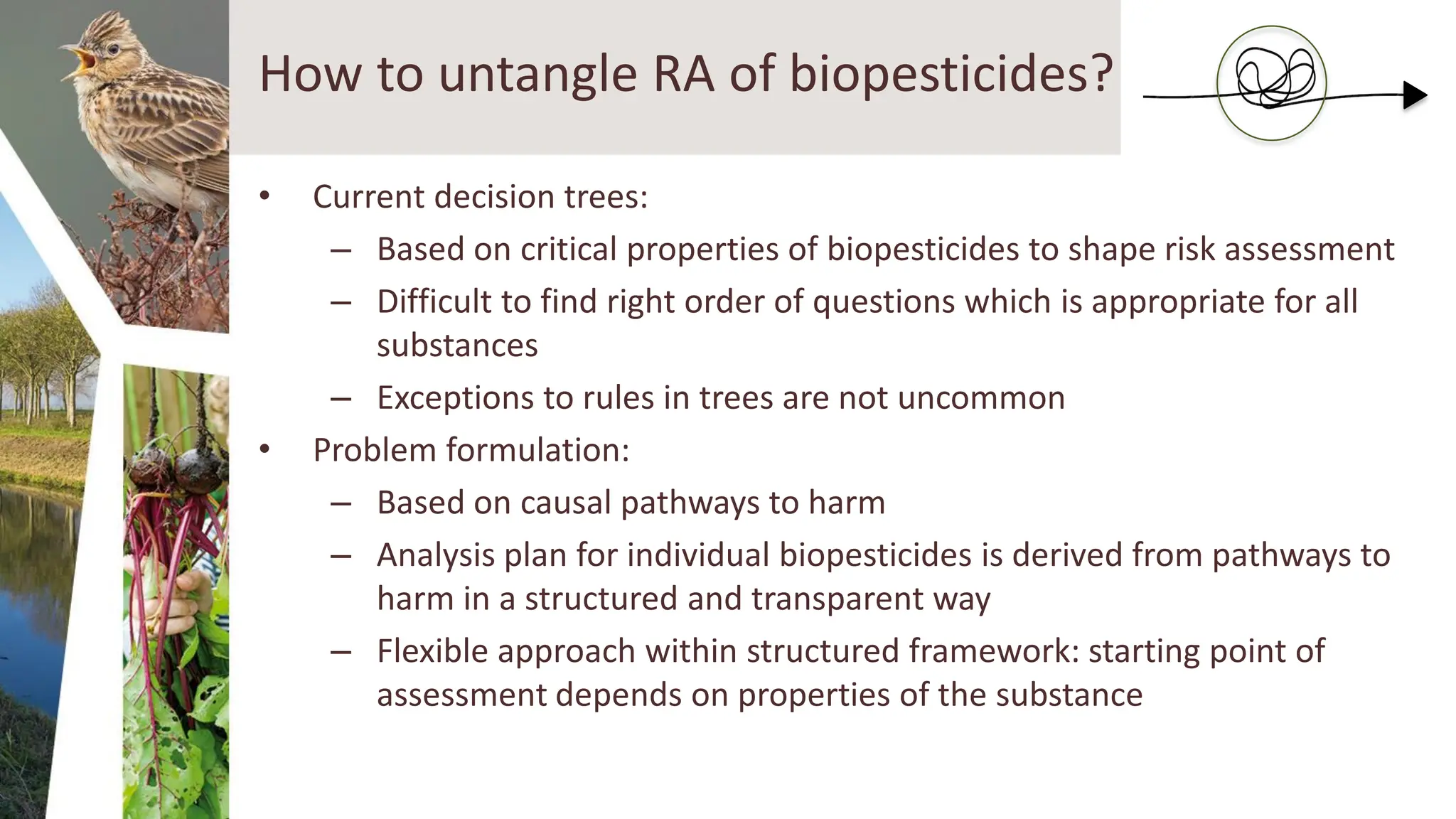 History, principles and use for biopesticide risk assessment: Boet ...