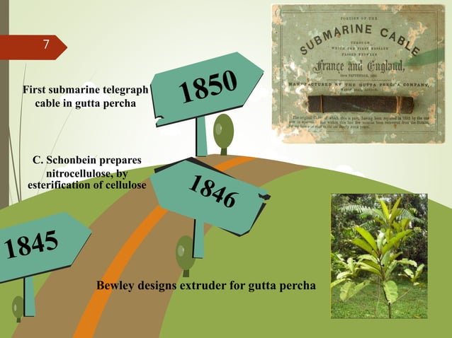 History and development of polymers | PPTX