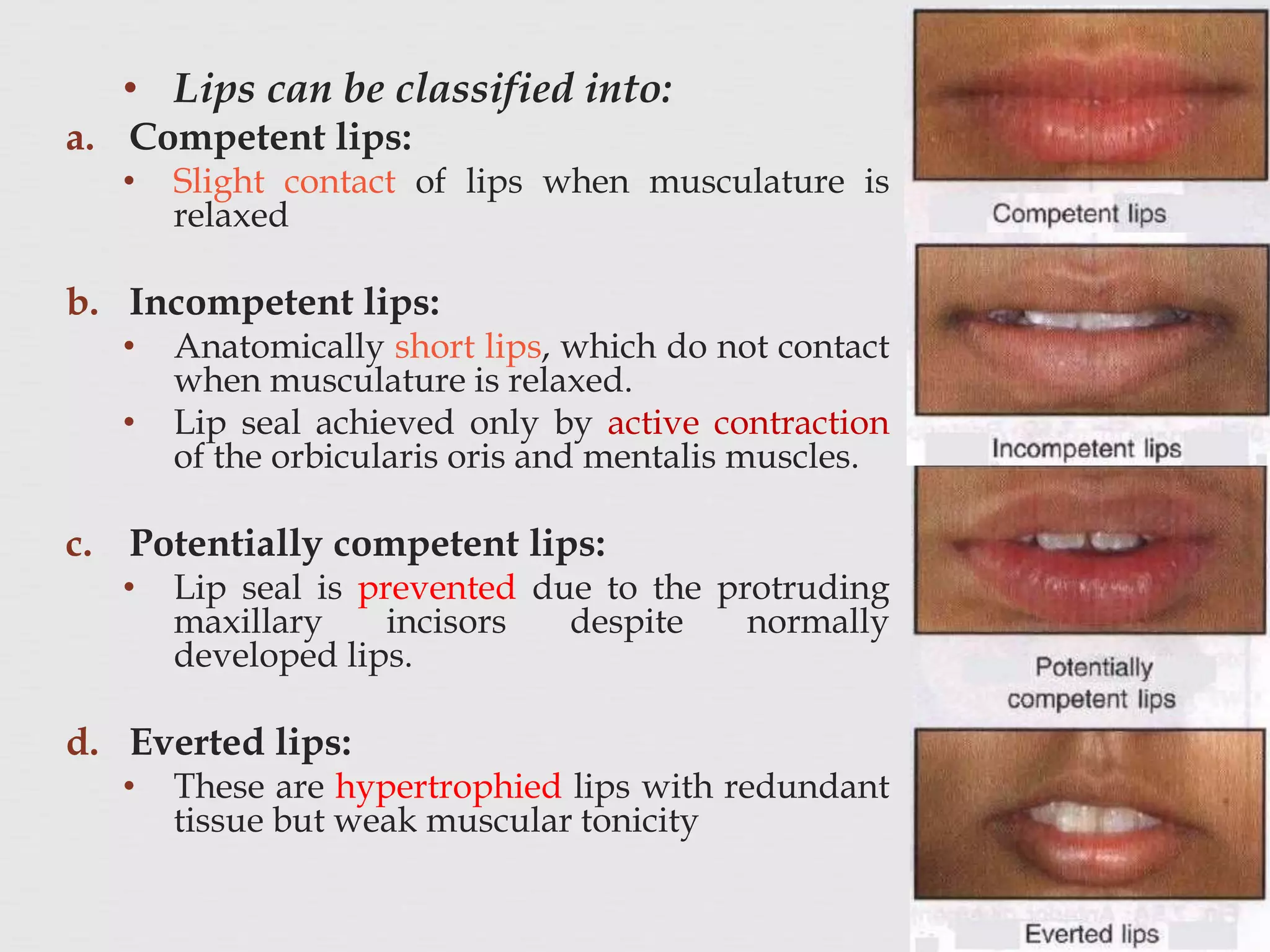 Orthodontic Case History and Examination | PPTX
