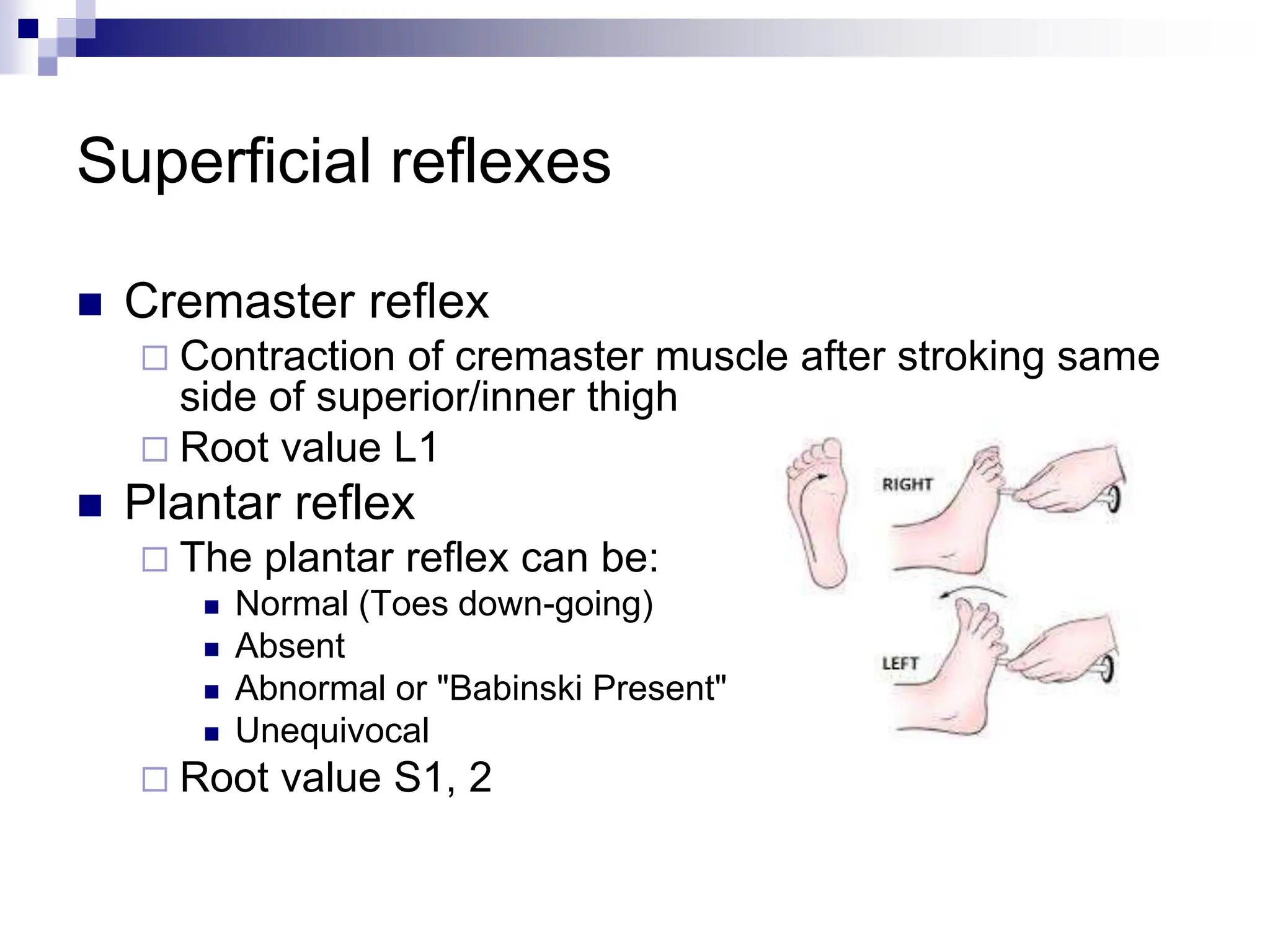 History and examination of nervous system- Part II.ppt