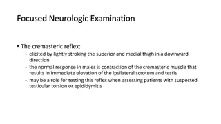 HISTORY AND EXAMINATION OF THE UROGENITAL SYSTEM.pptx