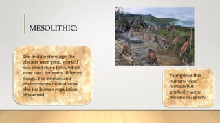 History and prehistory | PPTX