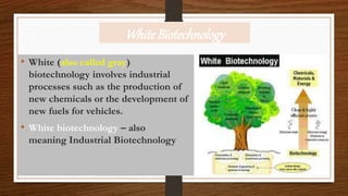 History and scope of biotechnology | PPTX