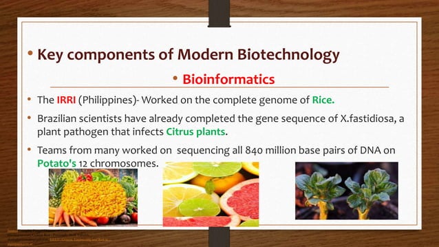 History and scope of biotechnology | PPTX
