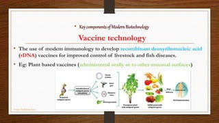 History and scope of biotechnology | PPTX