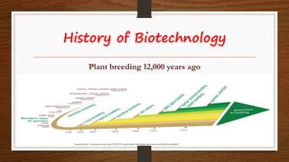 History and scope of biotechnology | PPTX