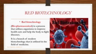 History and scope of biotechnology | PPTX