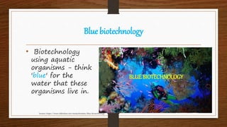 History and scope of biotechnology | PPTX