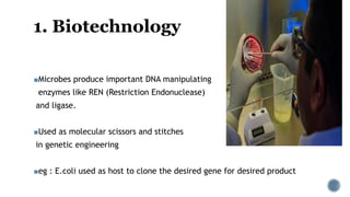 HISTORY AND SCOPE OF MICROBIOLOGYFinal - Copy.pptx
