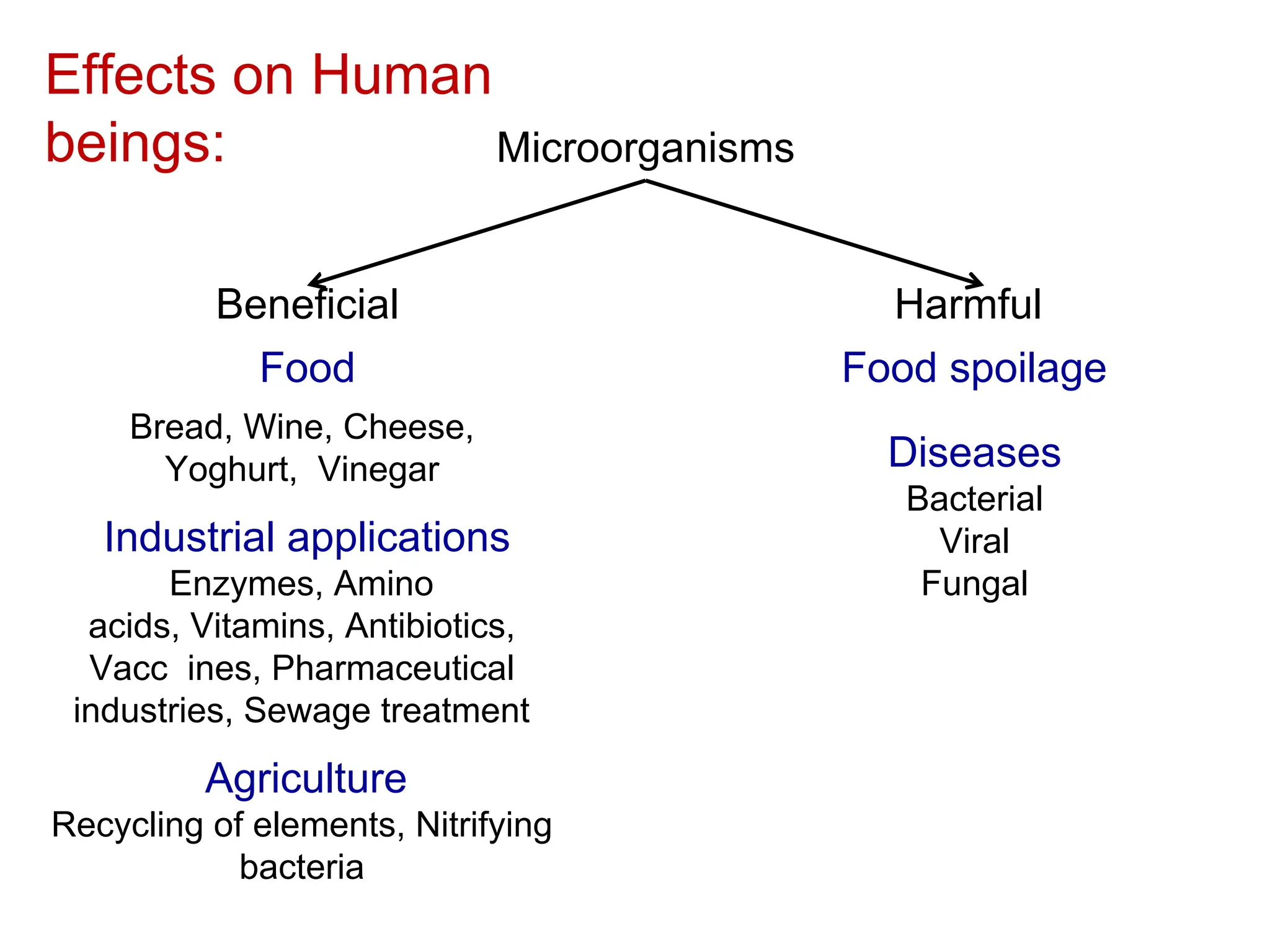 History of microbiology and structure of microbes | PDF